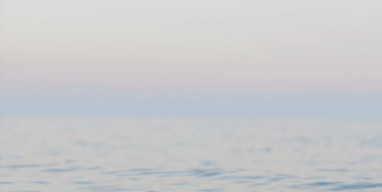 El CEREBRO se "desactiva". LOS AUTORREGISTROS. - María Martín Gregorio ...